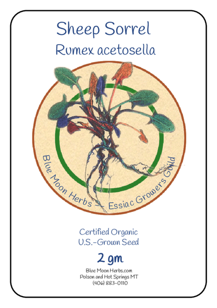 Sheep Sorrel Seed – Rene Caisse Tea